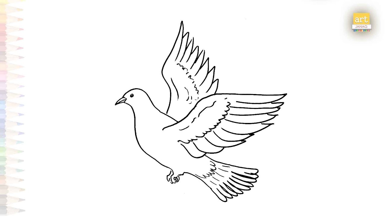 White dove flying drawing easy | Art tutorial | How to draw A Dove step ...