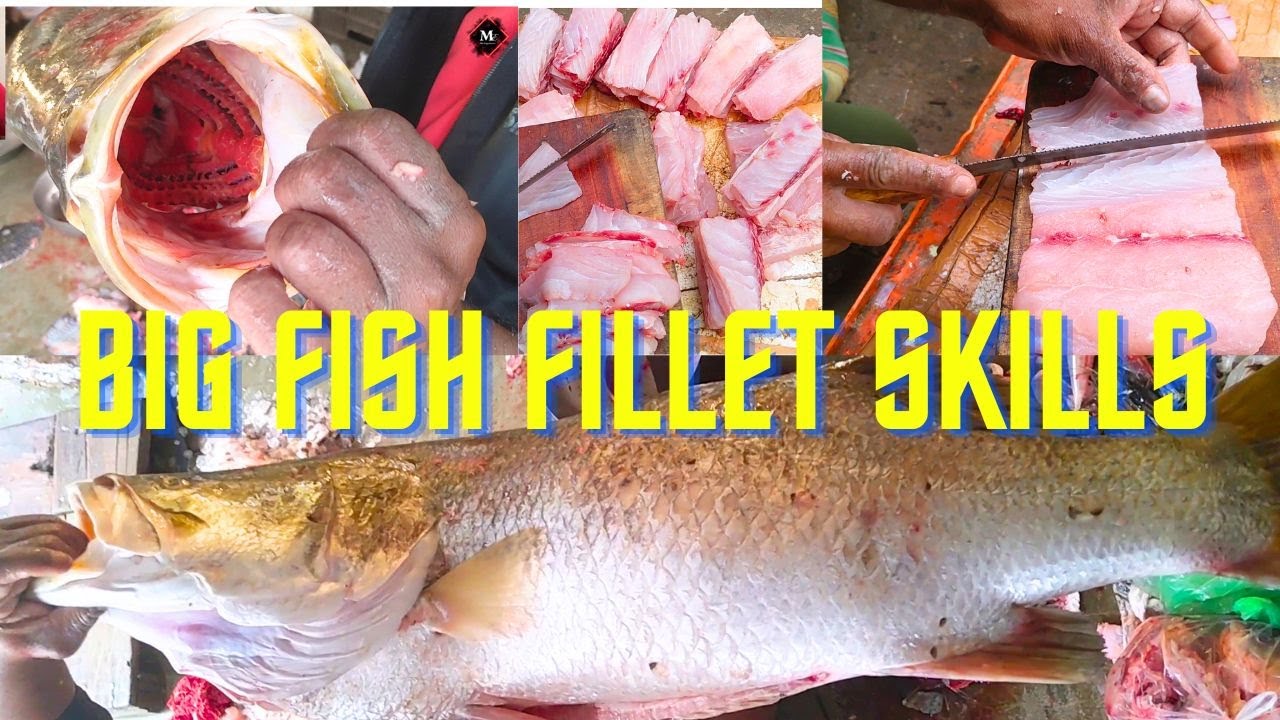 Big Fish Fillet Skills || Biggest Fish Cutting || Big Fishes Fillet ...