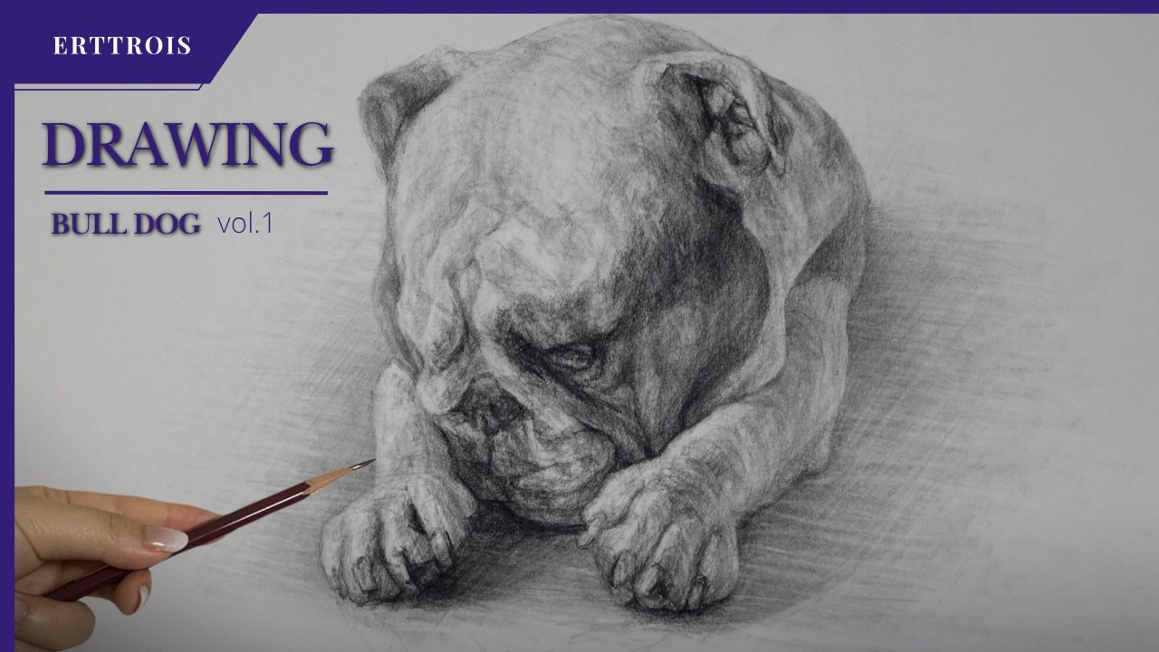 Bulldog Portrait Drawing Time-Lapse | Realistic Dog Sketch | Soothing ...