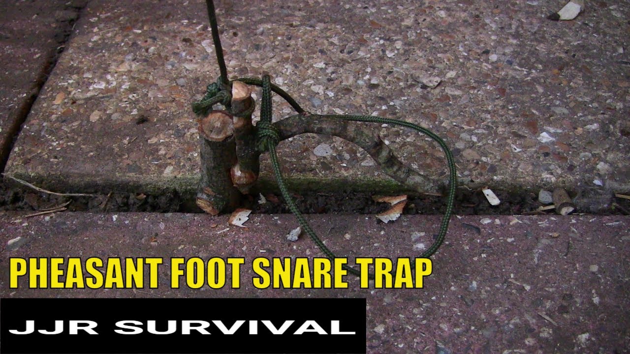 PHEASANT FOOT SNARE TRAP - YouTube