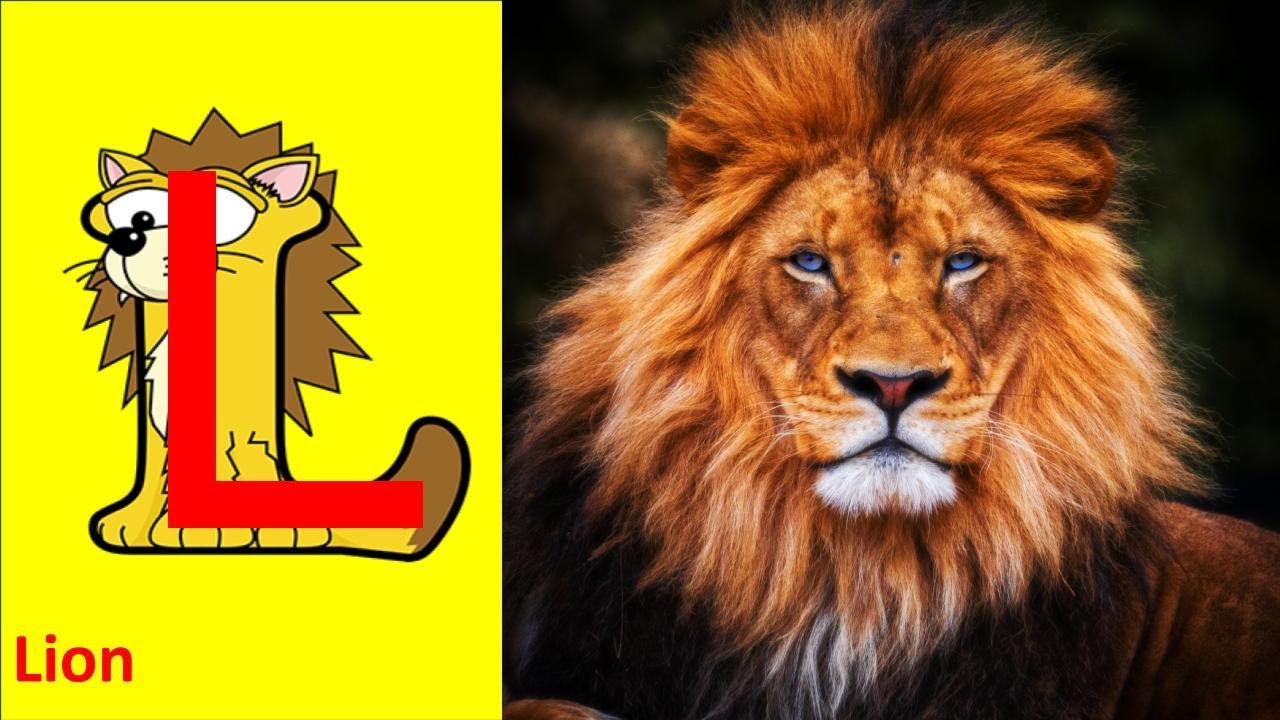 Learn to Write Letter L with Alphabetimals / How to write Alphabet ABC ...