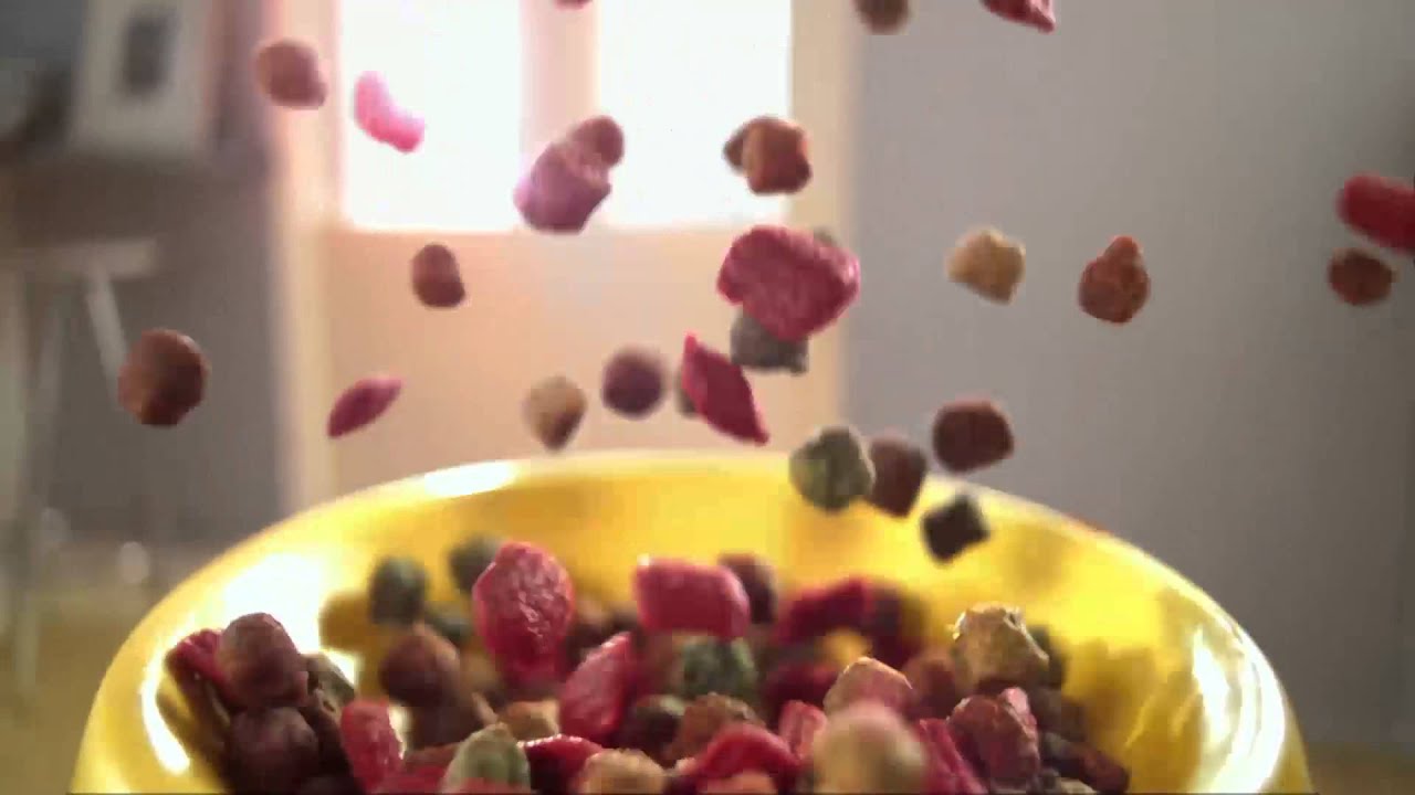 Go Cat Crunchy & Tender irresistible goodness for your cat - YouTube