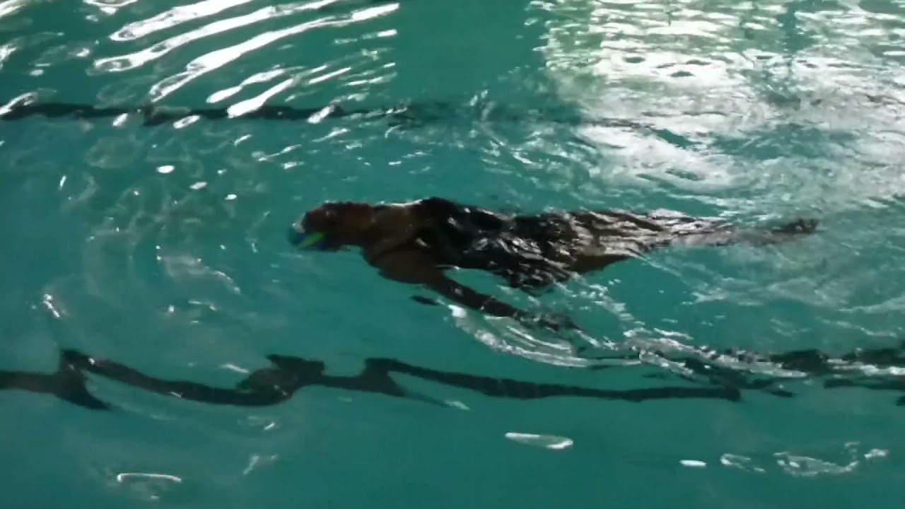 Jackie- Swim Lesson- Backstroke 7-2-21 - YouTube