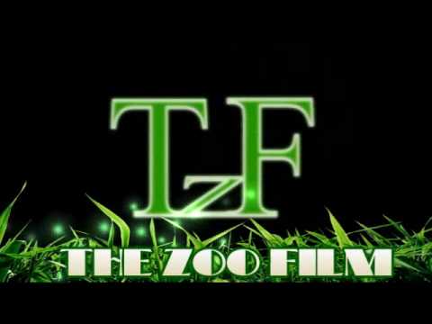 TZF movies logo 1 - YouTube