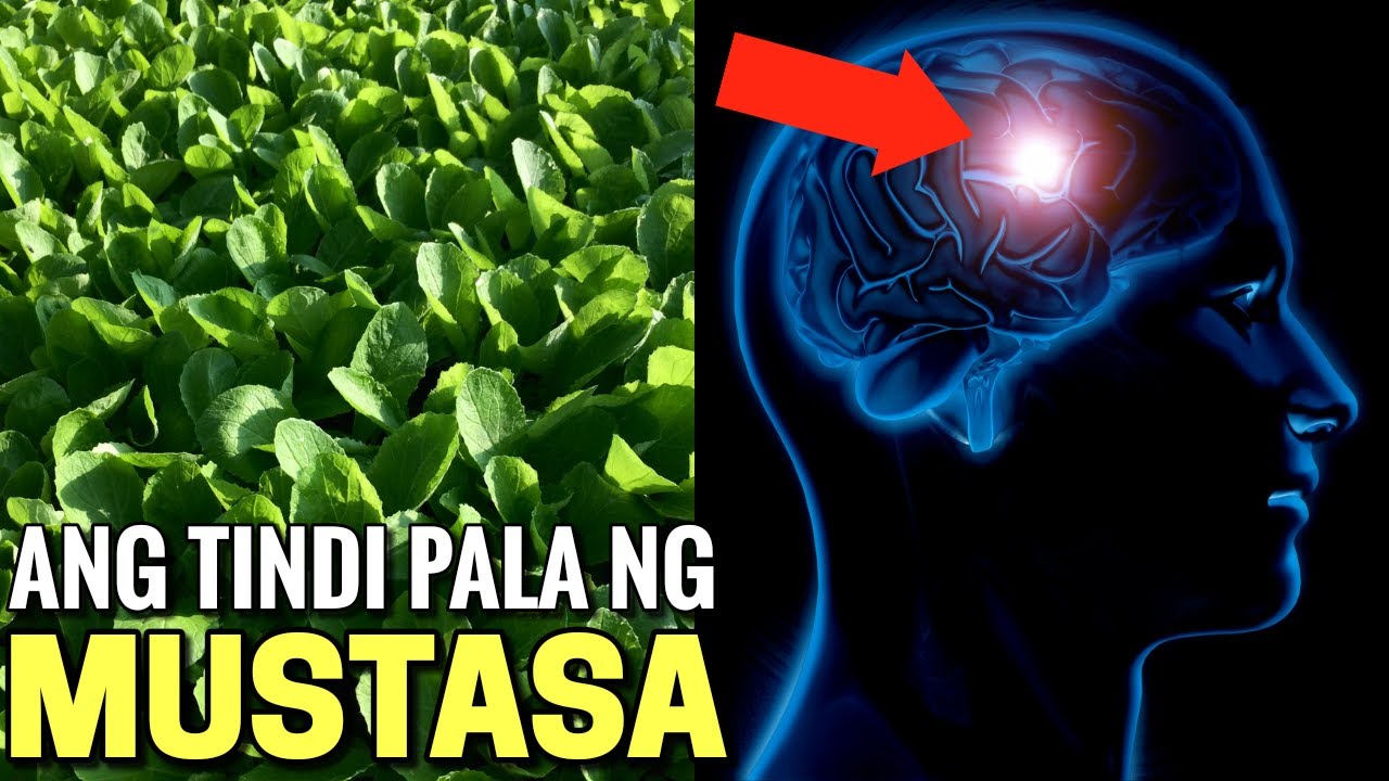 Ito pala ang MATINDING DAHILAN Bakit Marami ang Nagtatanim ng MUSTASA ...