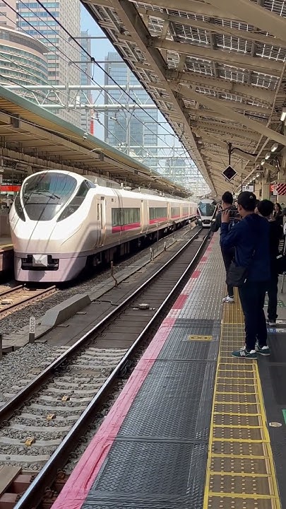 E261 サフィール踊り子 東京駅入線#shorts #e261系 #サフィール踊り子 #東京駅 #jr東日本 #東海道線 - YouTube