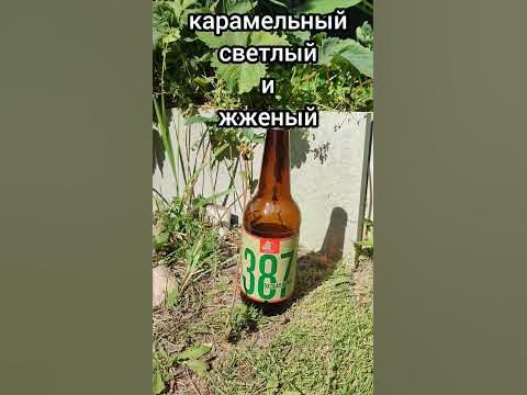 пиво 387 / калужский крафт / обзор на пиво # 59 / #пиво #пивнойобзор # ...