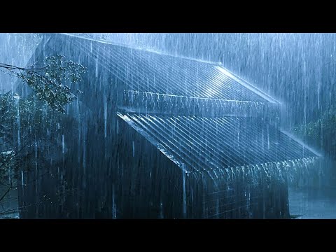 Night Storm Rain at - Heavy Rain & Strong Winds with Thunder Sounds for ...