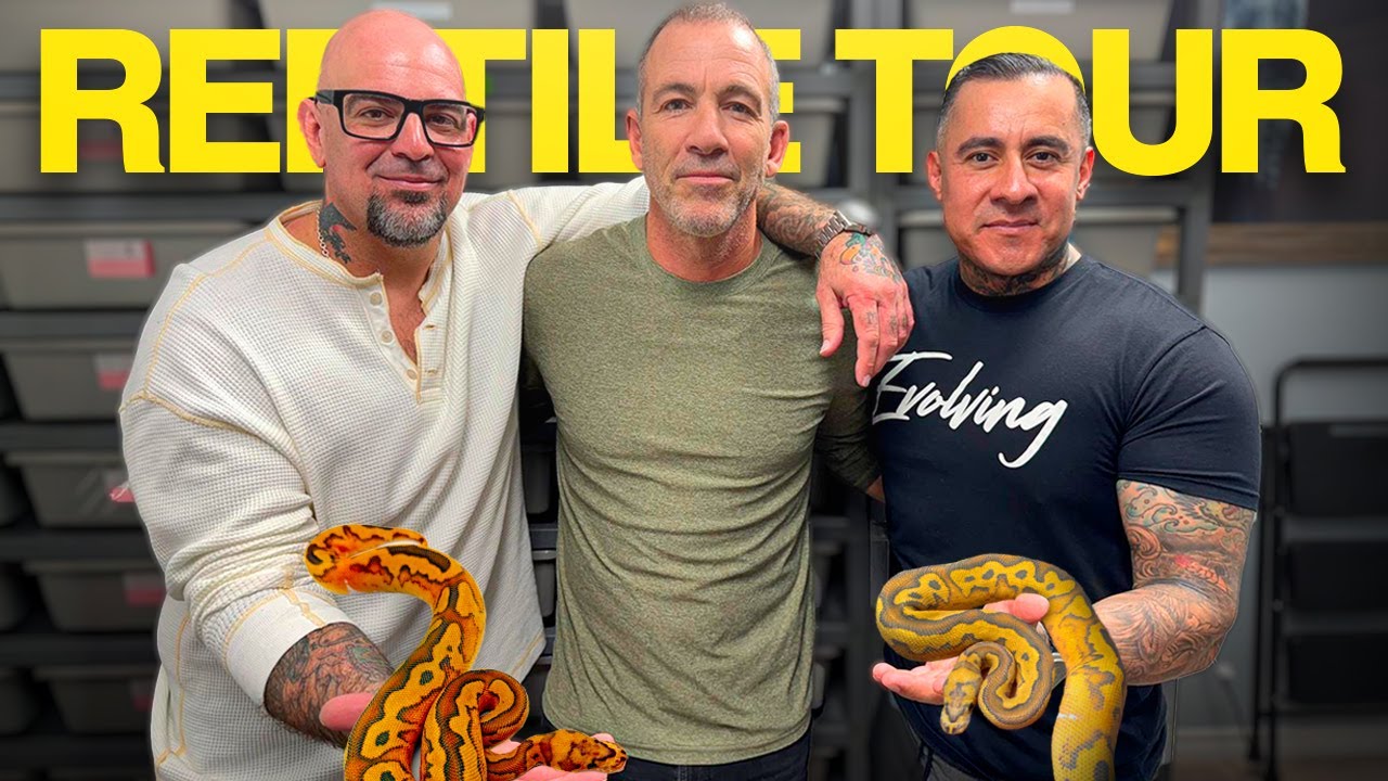Reptile Room Tour + Bryan Callen !! - YouTube