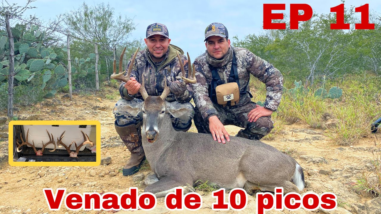 Segundo venado de la temporada 23-24. Un diez con simetría casi perfecta! EP. 11 - YouTube