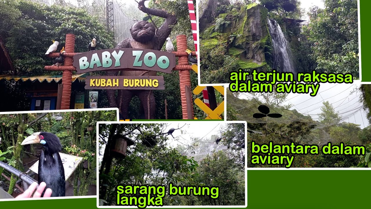AVIARY TAMAN SAFARI INDONESIA, ADA AIR TERJUN TINGGI DAN BURUNG LANGKA ...