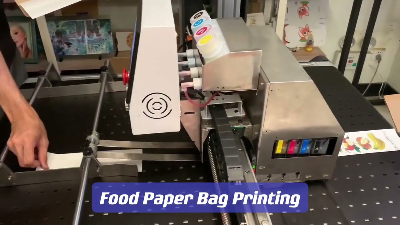 Small food packing bag printer Single pass printing machine BYC168-Z02 ...