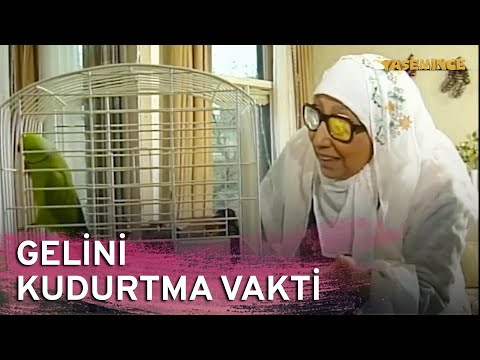 Sürahi Hanım'ın Yeni Dostu 'Süslü' | Yasemince