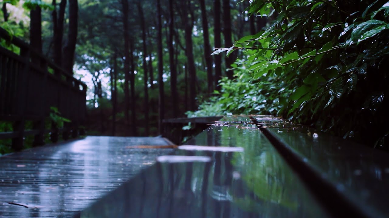 Summer Rain Meditation Extended - Natural Rain Sound for Relaxing ...