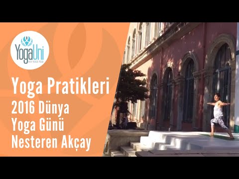 21 Haziran 2016 Dünya Yoga Günü kutlamaları - Nesteren Akçay