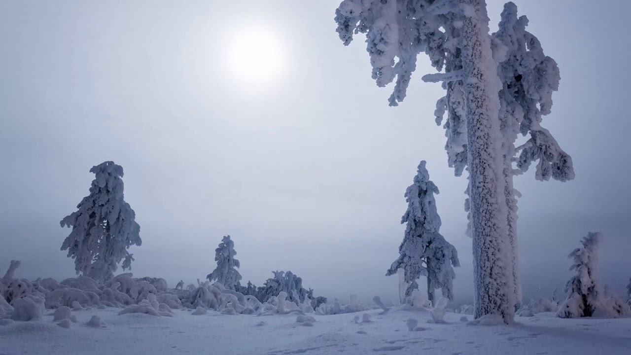 Embreach - I Am Nature (Official video) - YouTube