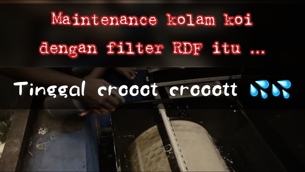 General checkUp kolam dengan filtrasi RDF dan cara membersihkan screen ...