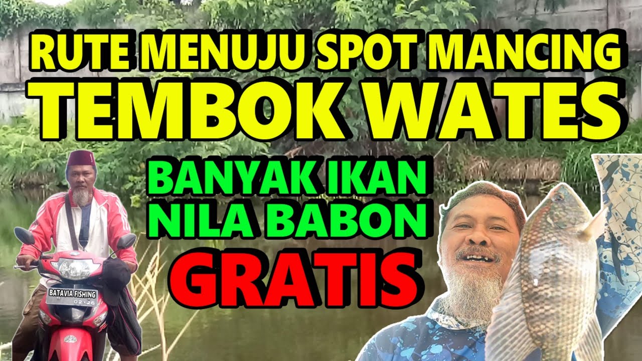 RUTE SPOT MANCING NILA BABON GRATIS - YouTube