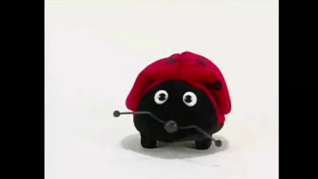 Neighborhood Animals - Dotty Ladybug - YouTube