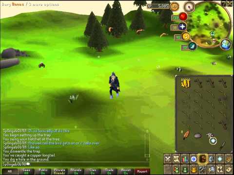 runescape copper longtails guide - YouTube