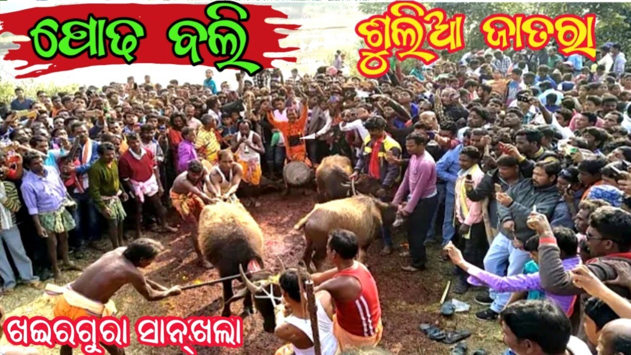 Sulia Jatara Khaerguda ll Khaerguda Sulia Jatara ll Muralisika Creation ...