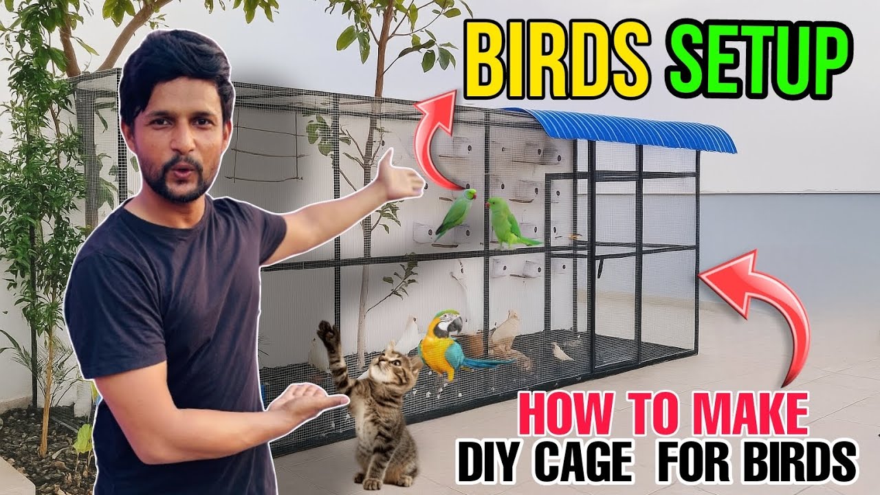 How to Make Master Cage on House Top 🏘️Ghar ki chat per pinjra kaise ...