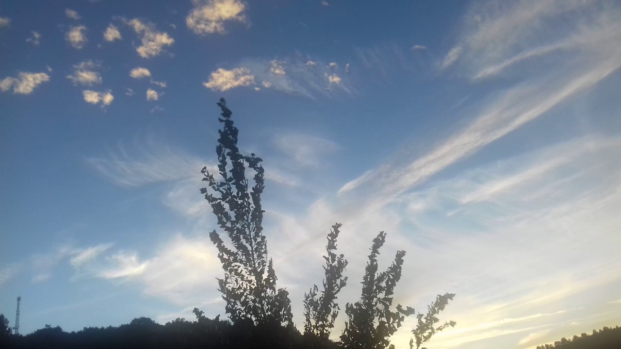 Brisa suave. - YouTube