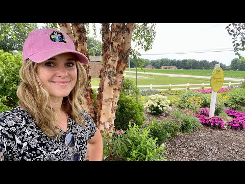 Walk Through Tour Of Garden Crossings Front Garden Beds! 🌻 Zeeland Michigan!