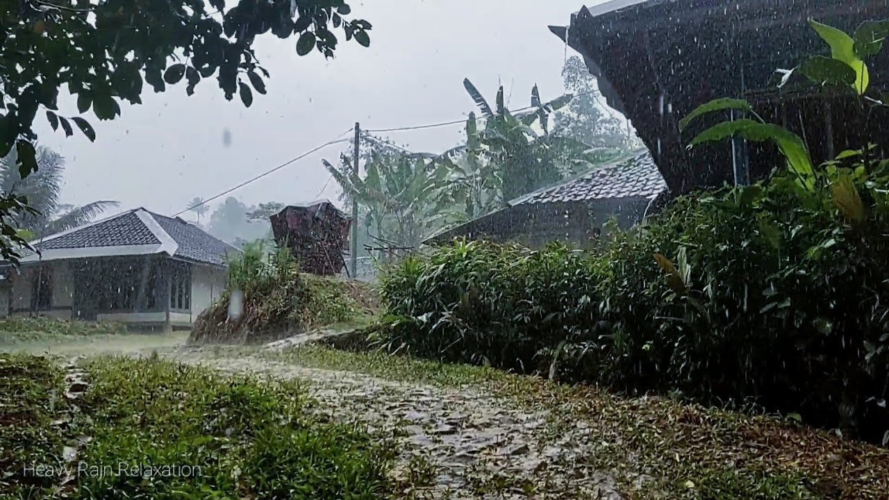 Heavy Rain and Lightning Storm in Indonesian Village || Walking in the rain | Rain for Sleep ...