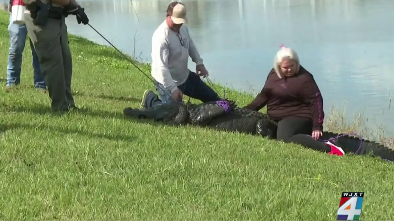 Alligator kills 85-year-old Florida woman as she walked dog - YouTube