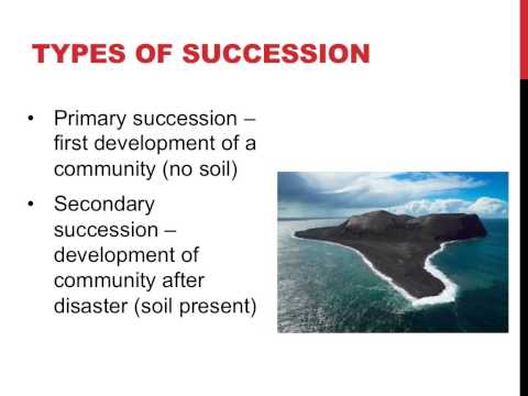 Ecological succession