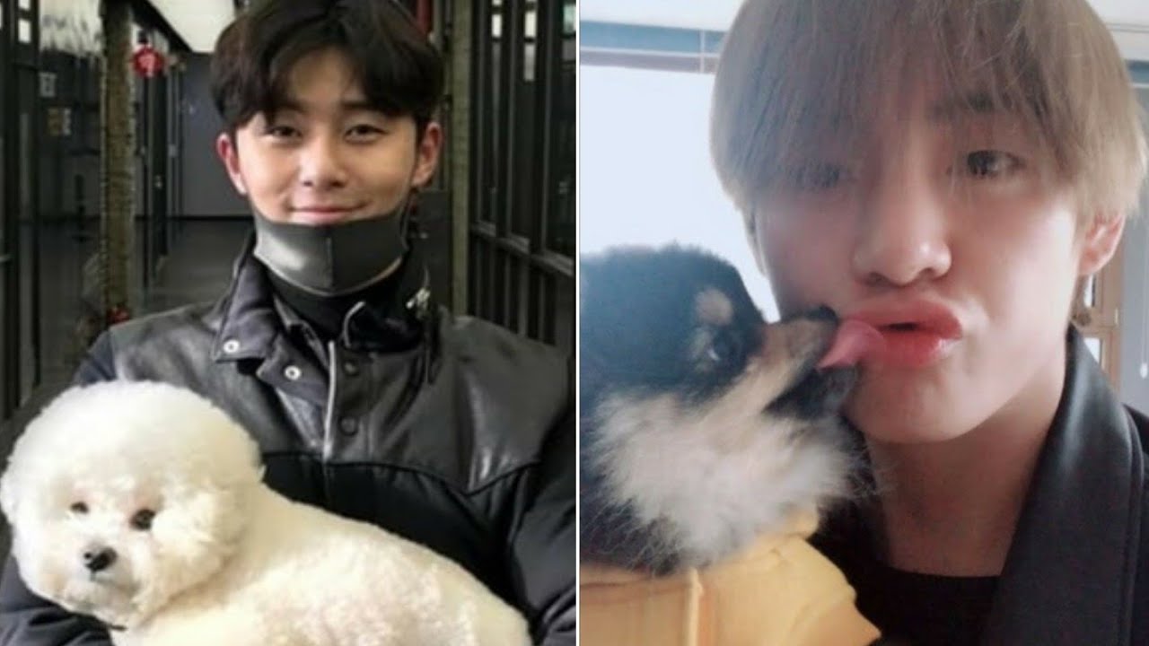 BTS’s V and Park Seo Joon brought their dogs together for a super-cute ...