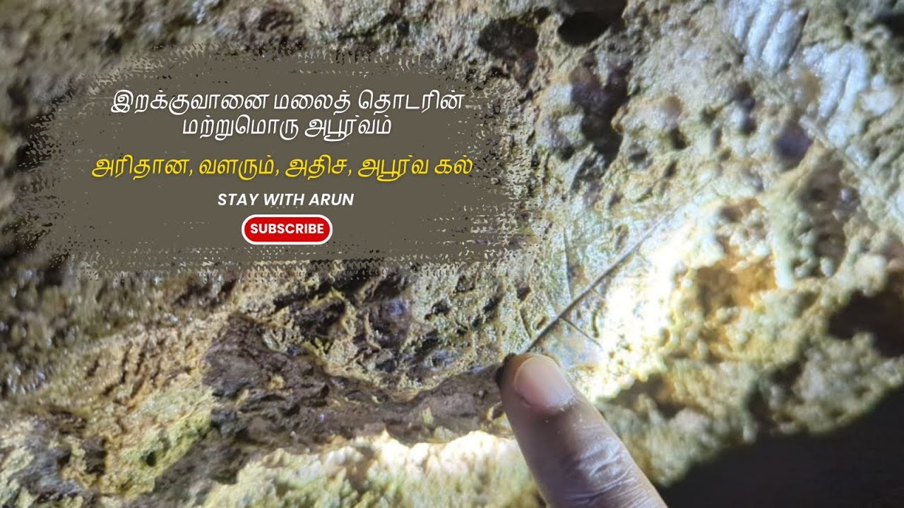 A rare growing stone in Sri Lanka l இலங்கையில் அபூர்வமாக வளரும் கல் ...