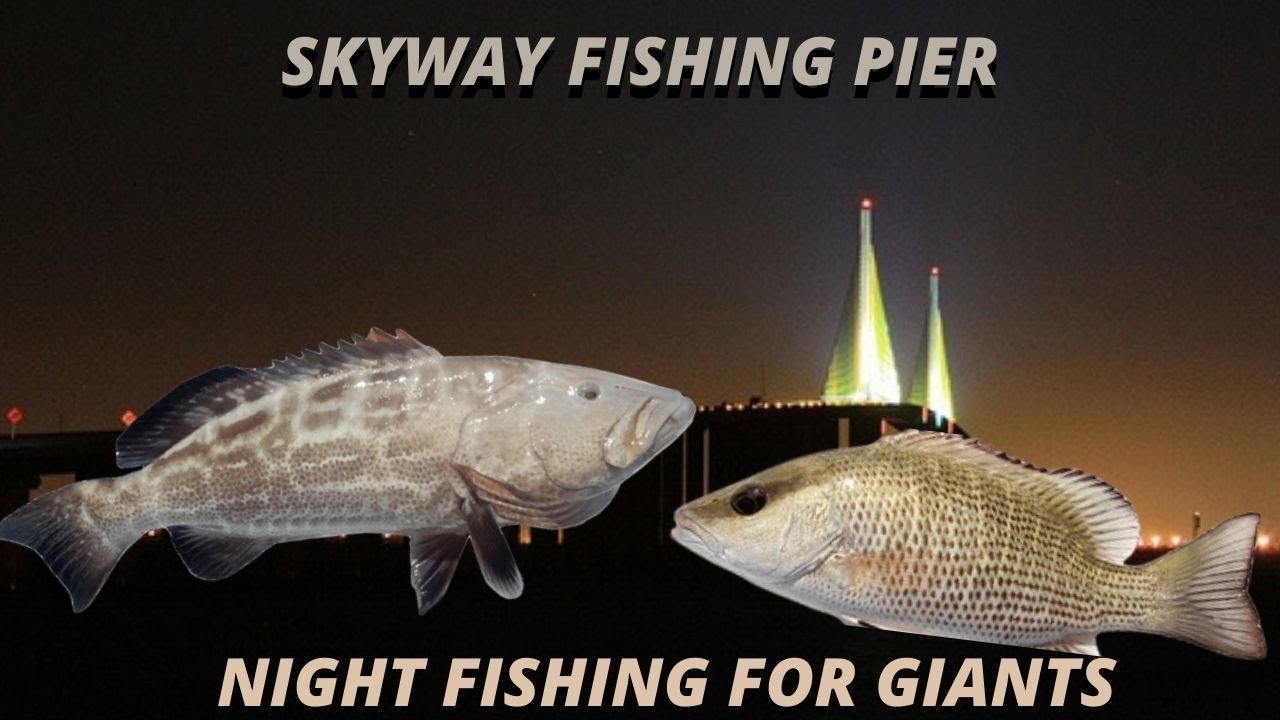 Skyway Fishing Pier Snapper And Grouper Night Fishing - YouTube