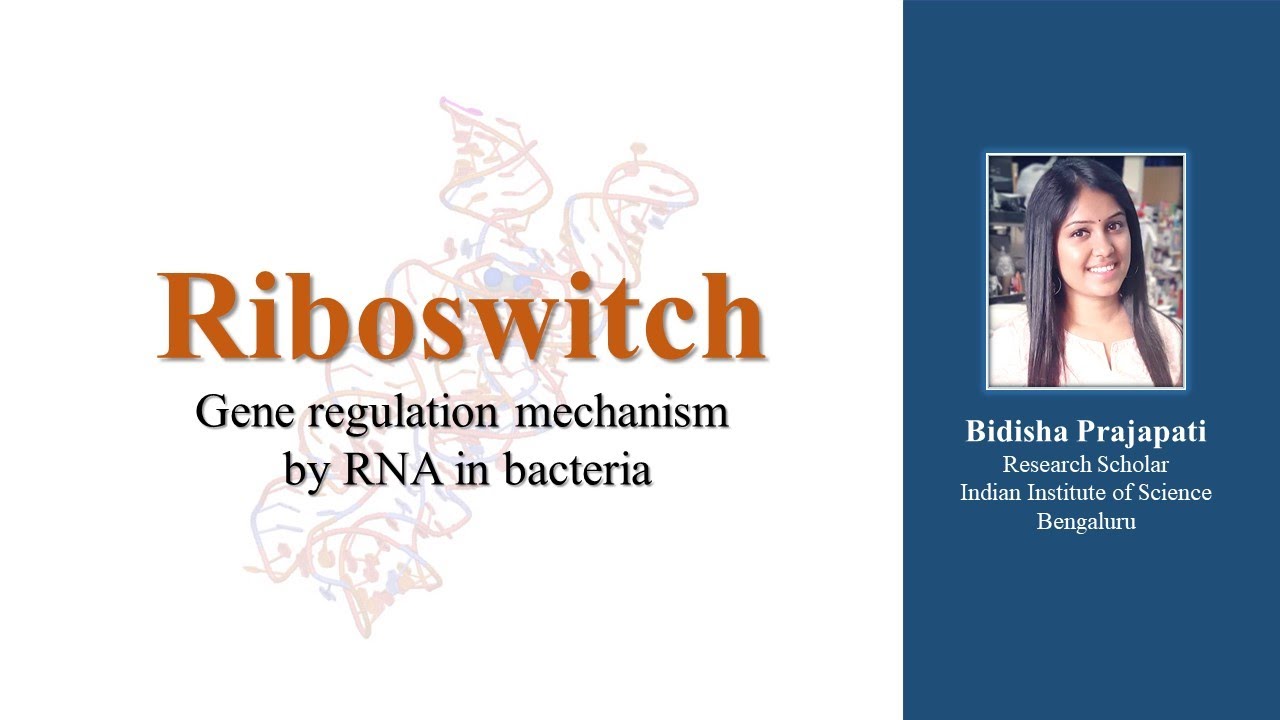 Riboswitch – Gene regulation mechanism by RNA in a bacteria for # ...
