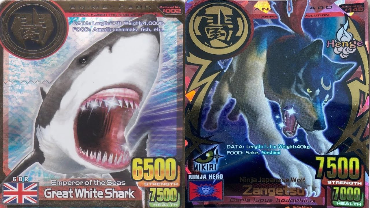ANIMAL KAISER EVOLUTION - GREAT WHITE SHARK VS ZANGETSU - YouTube