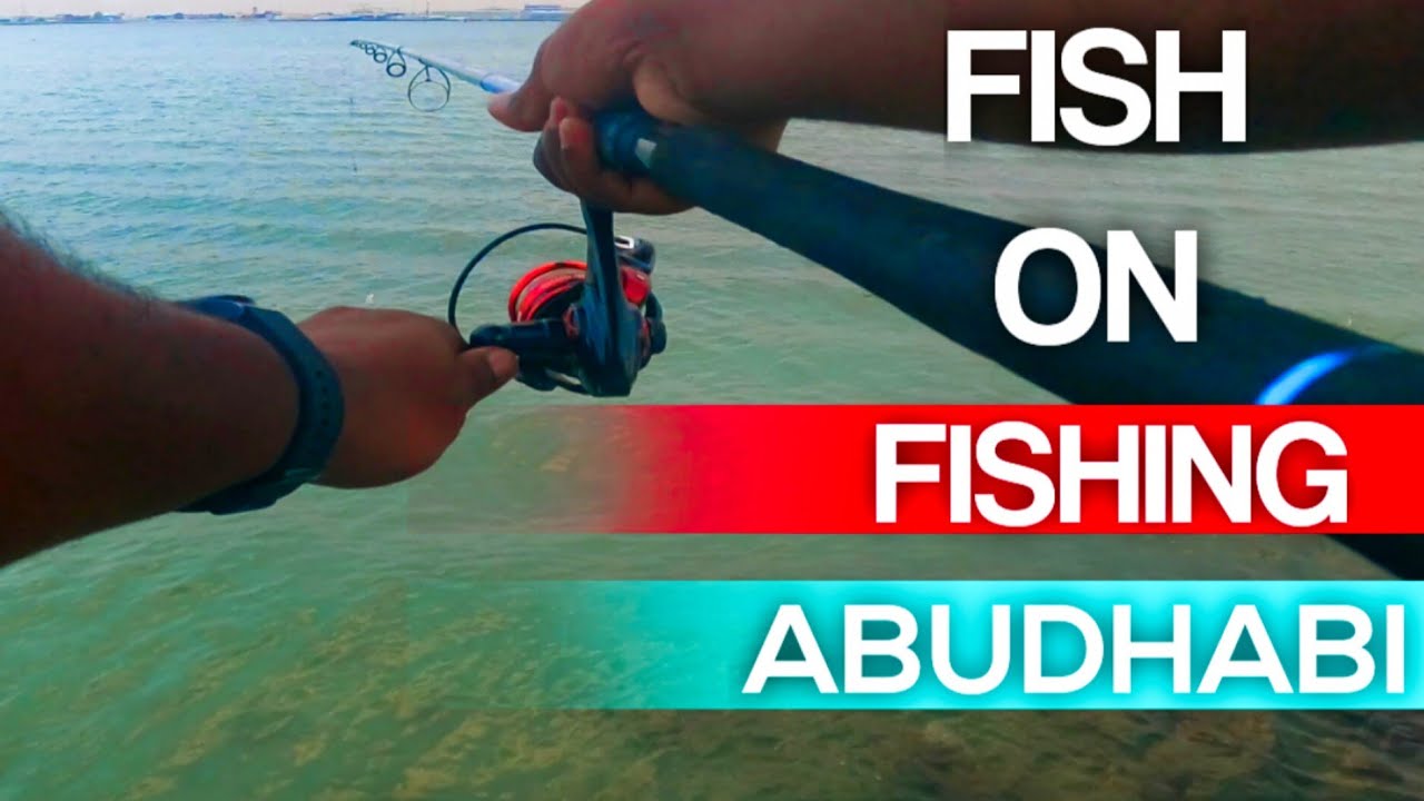 Abu Dhabi shore fishing | UAE Fishing | Fishing Abu Dhabi | Fishing ...