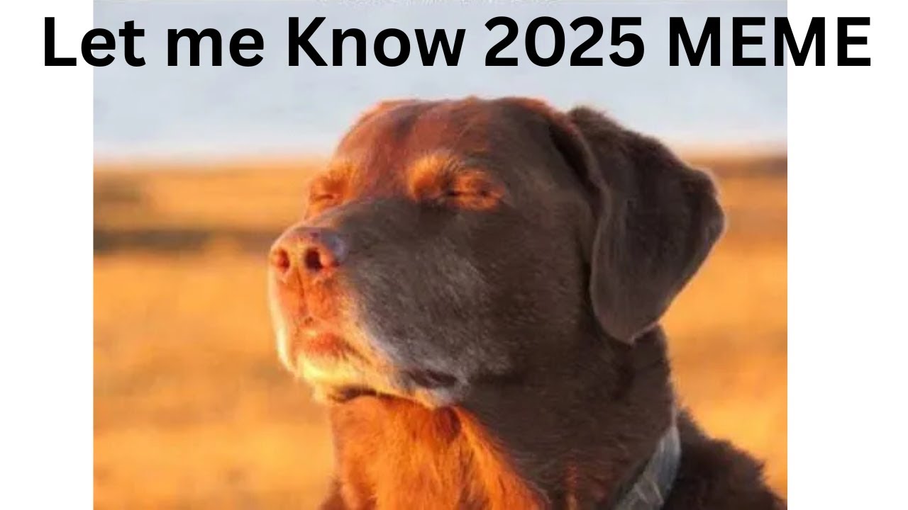 1 hour of silence occasionally broken by Let me on meme sound effect ...