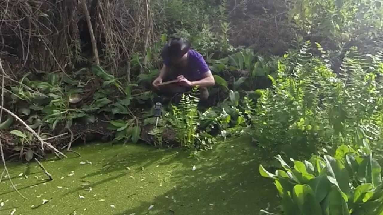 Tocante Phashi Love 3 - YouTube