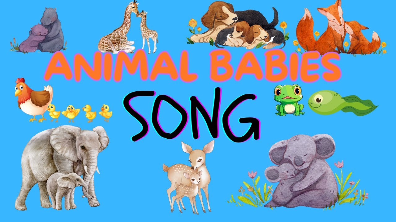 ANIMAL BABIES SONG| Learn About Animals and Their Babies| KIDS SONG ...