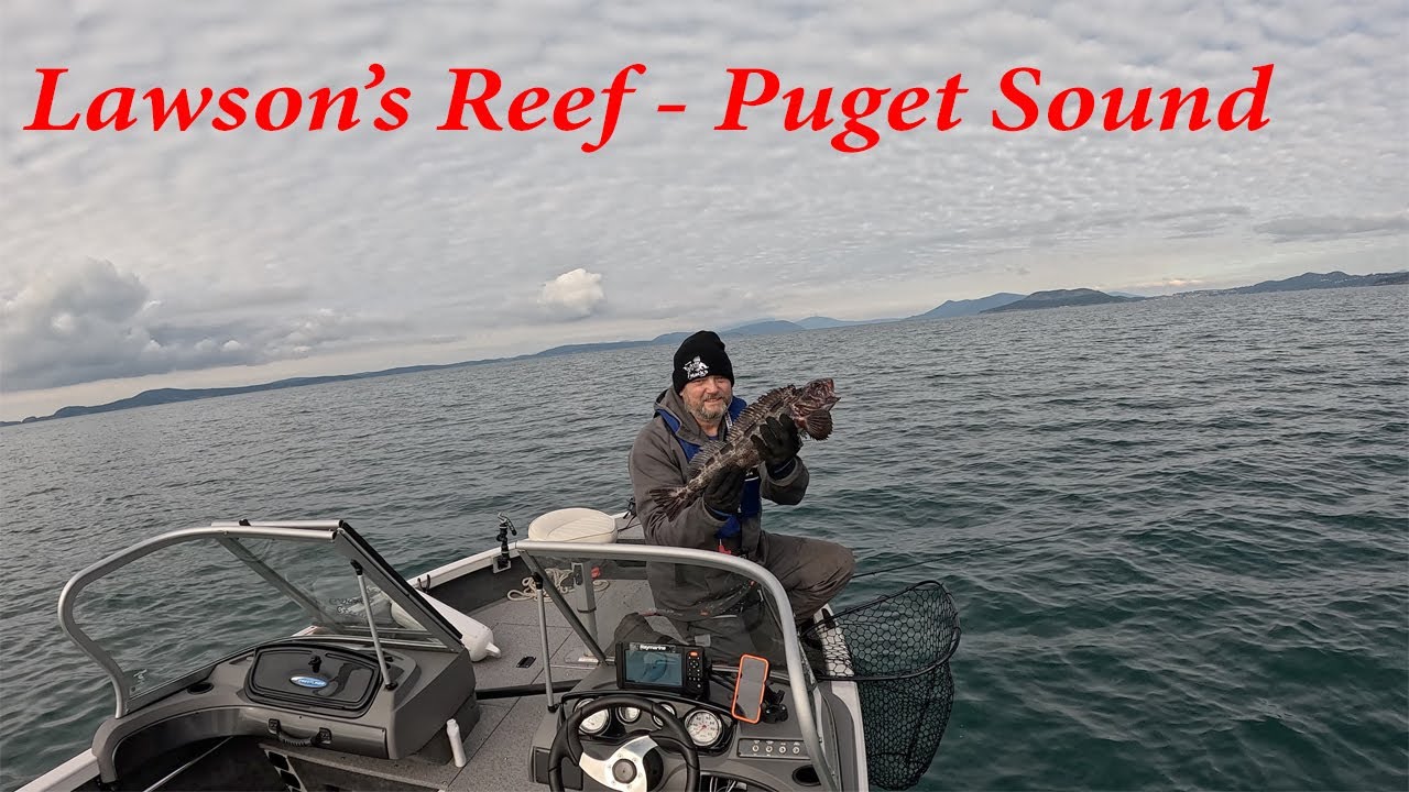 Lawson's Reef - Puget Sound Fishing || 7 Feb 2024 || - YouTube