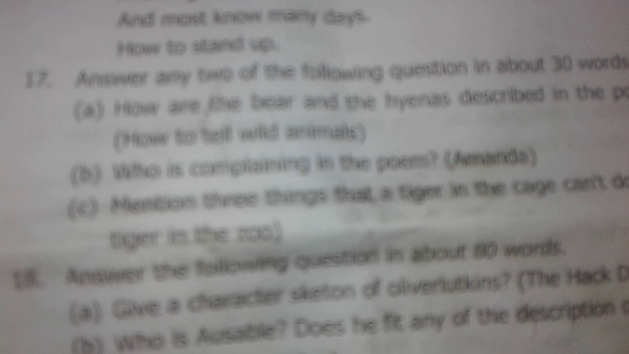 Class 10th English Important Questions YouTube class-10th-english-important-questions-youtube