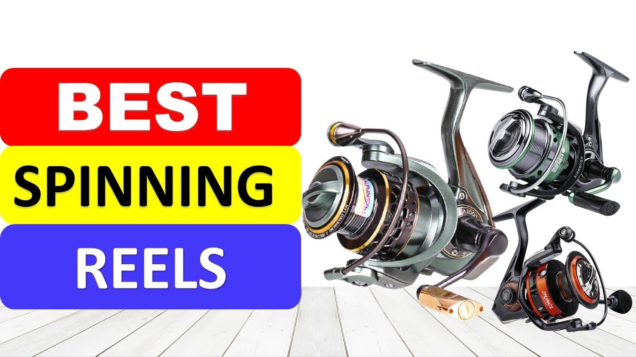 Best Spinning Reels 2025 | Top 10 Spinning Reels Review - YouTube