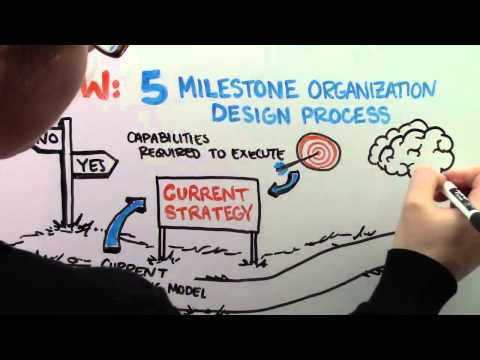 What Is Contemporary Organizational Design