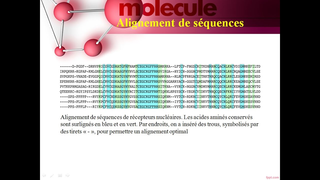 Cours bio-informatique: les Alignement local et global Alignement et ...