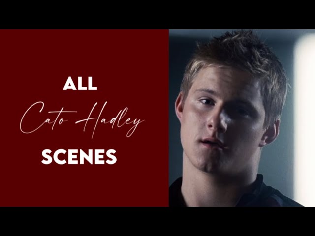 Hunger Games Fight Scene Cato