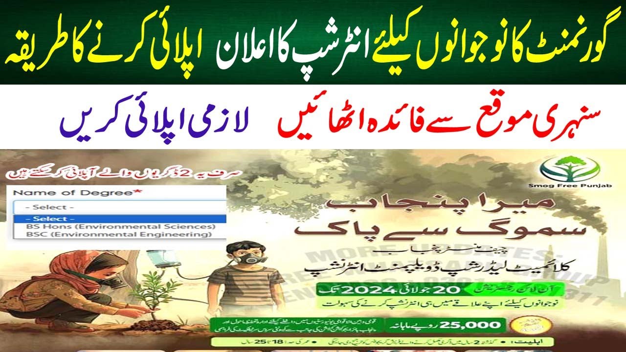 cm punjab climate leadership development internship program online ...