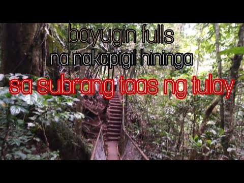 #pagtuklas ng nakakamangha.. na bayugin falls - YouTube