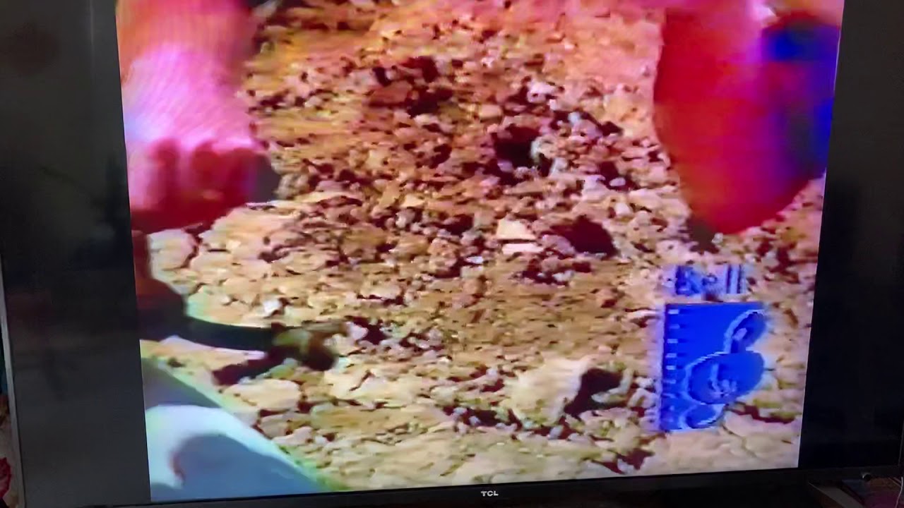 Washburn University 1987 Football Wrecking Crew - YouTube