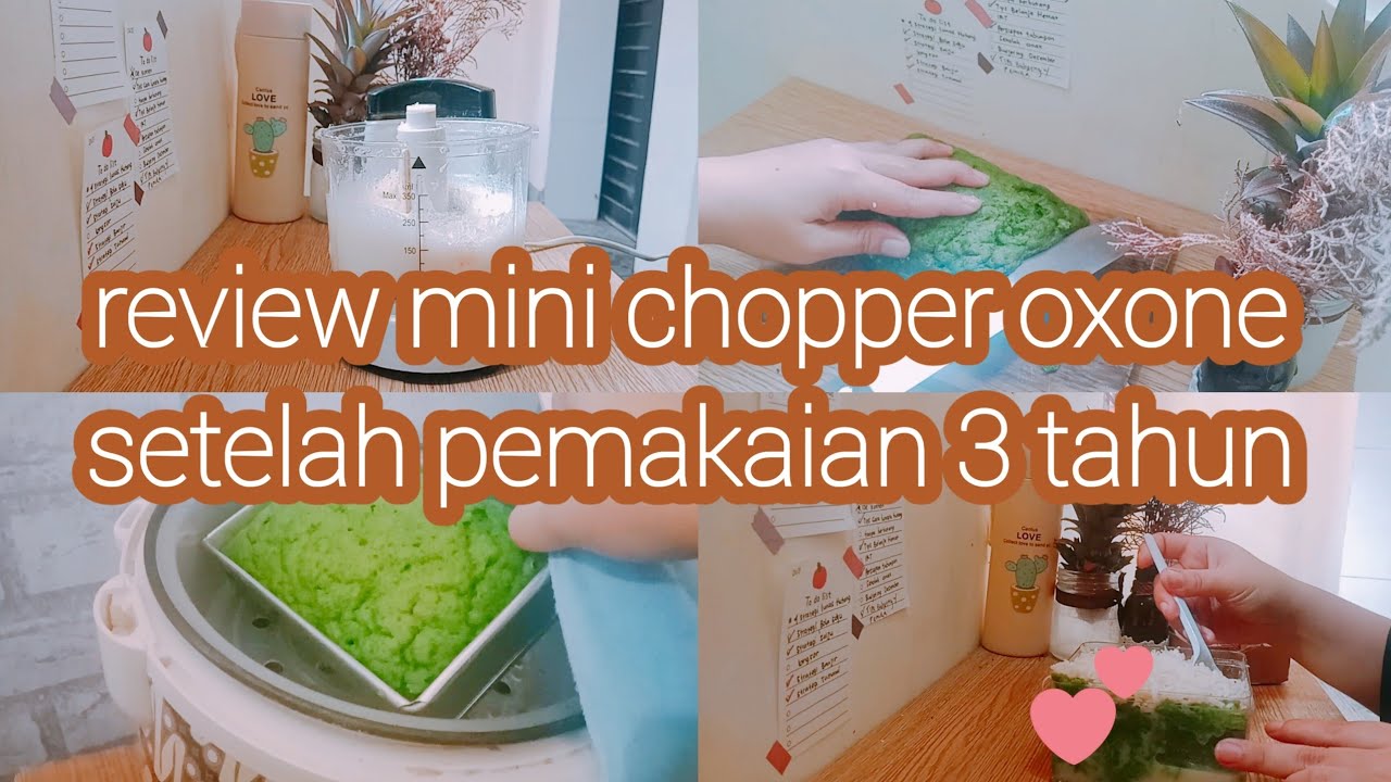 REVIEW MINI CHOPPER OXONE SETELAH PEMAKAIAN 3 TAHUN II SOLUSI HEMAT ...